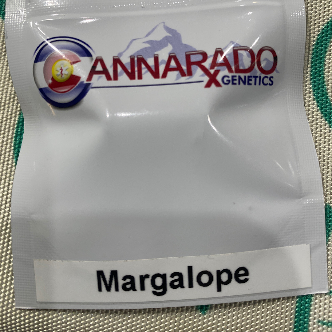 Cannarado Genetics Margolope - Seed Canary