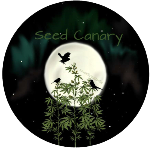 Seed Canary - Cannabis seed Marketplace