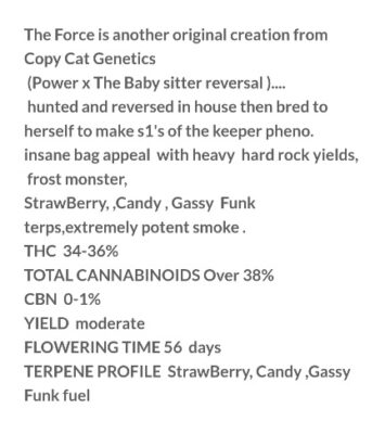 Force X Aftermath R1 Reversal Special Order Copycat Genetix ORIGINAL ...