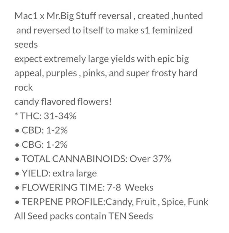 Mr Big Mac S1 Copycat Genetix ORIGINAL FEMS - Seed Canary