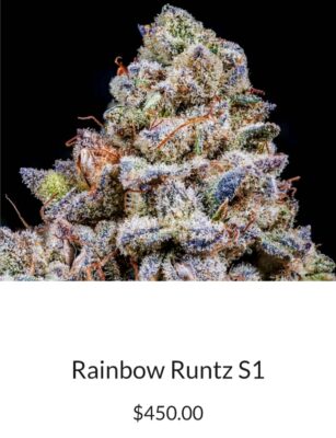 Rainbow Runtz X The ZaZa R1 Reversal Special Order Copycat Genetix ...