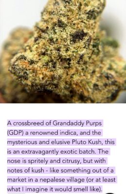 Grand Daddy Pluto S1 Copycat Genetix FEMS - Seed Canary