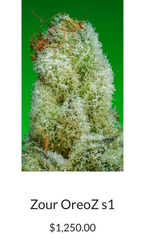 Zour Oreoz S1 Copycat Genetix ORIGINAL FEMS - Seed Canary