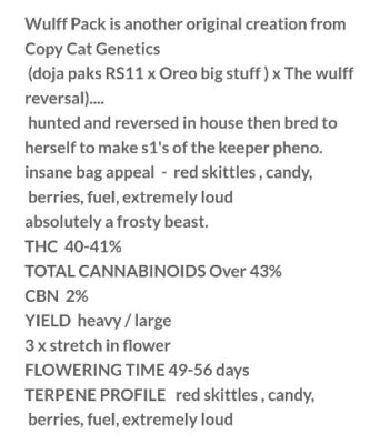 Wulff Pack S1 Copycat Genetix ORIGINAL FEMS - Seed Canary