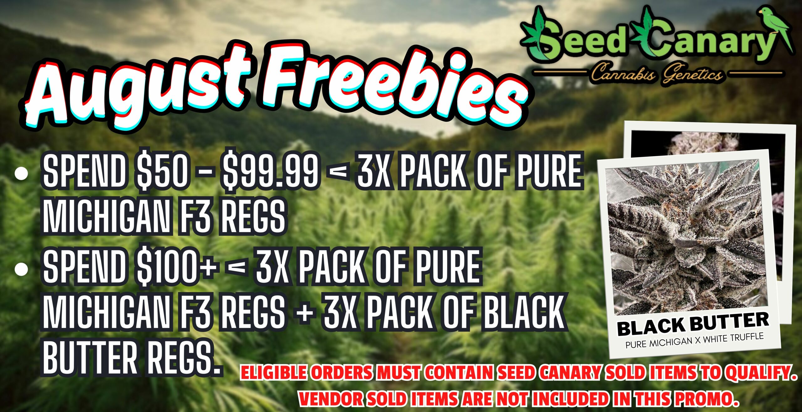 Promotions - Seed Canary