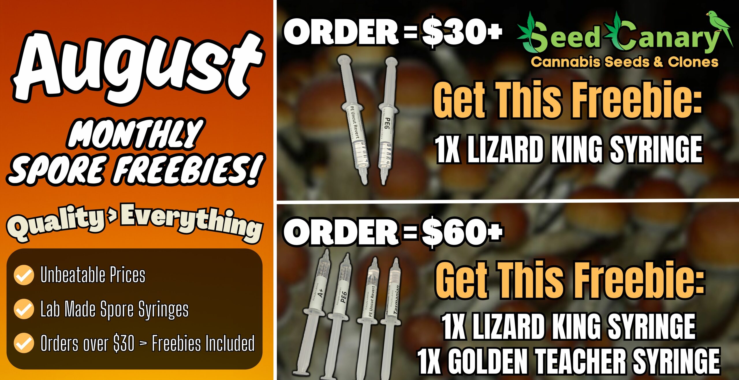 Promotions - Seed Canary