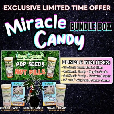 Miracle Candy Bundle Box - Includes Clone, Seeds, & Banner! - Seed Canary